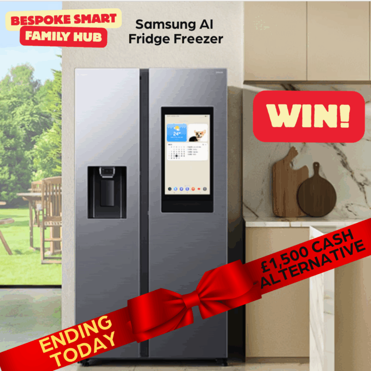 SAMSUNG BESPOKE AI SMART FRIDGE FREEZER (OR £1,500 CASH ALT) - TECH LOW ...